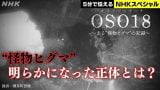 東野幸治 NHKスペシャル『OSO18 ～ある怪物ヒグマの記録～』を語る | miyearnZZ Labo